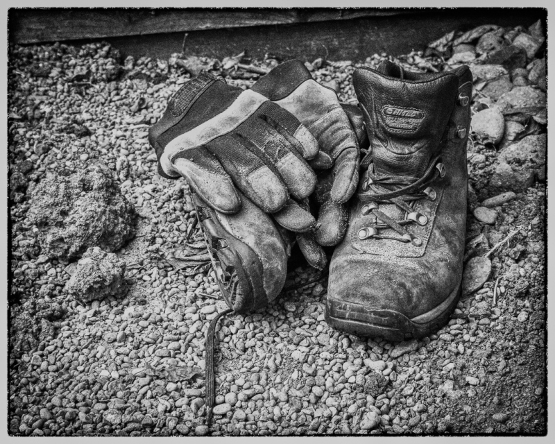 January 2020 Competition Winners - Emerald Photographic Society - EPS
